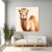 Watercolor Camel Clipart Set: 20 PNG & PDF Files (commercial Use) - Etsy