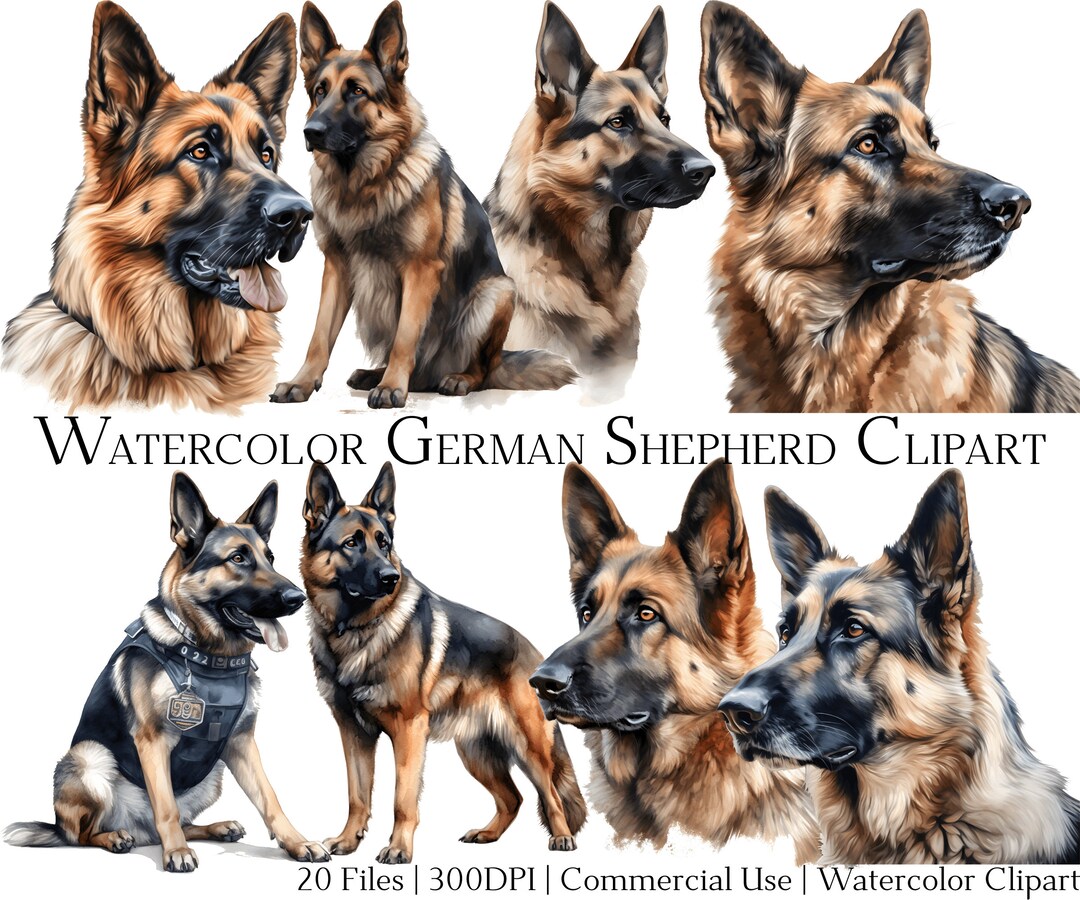 Watercolor German Shepherds Clipart Set of 20 Files With Instant ...