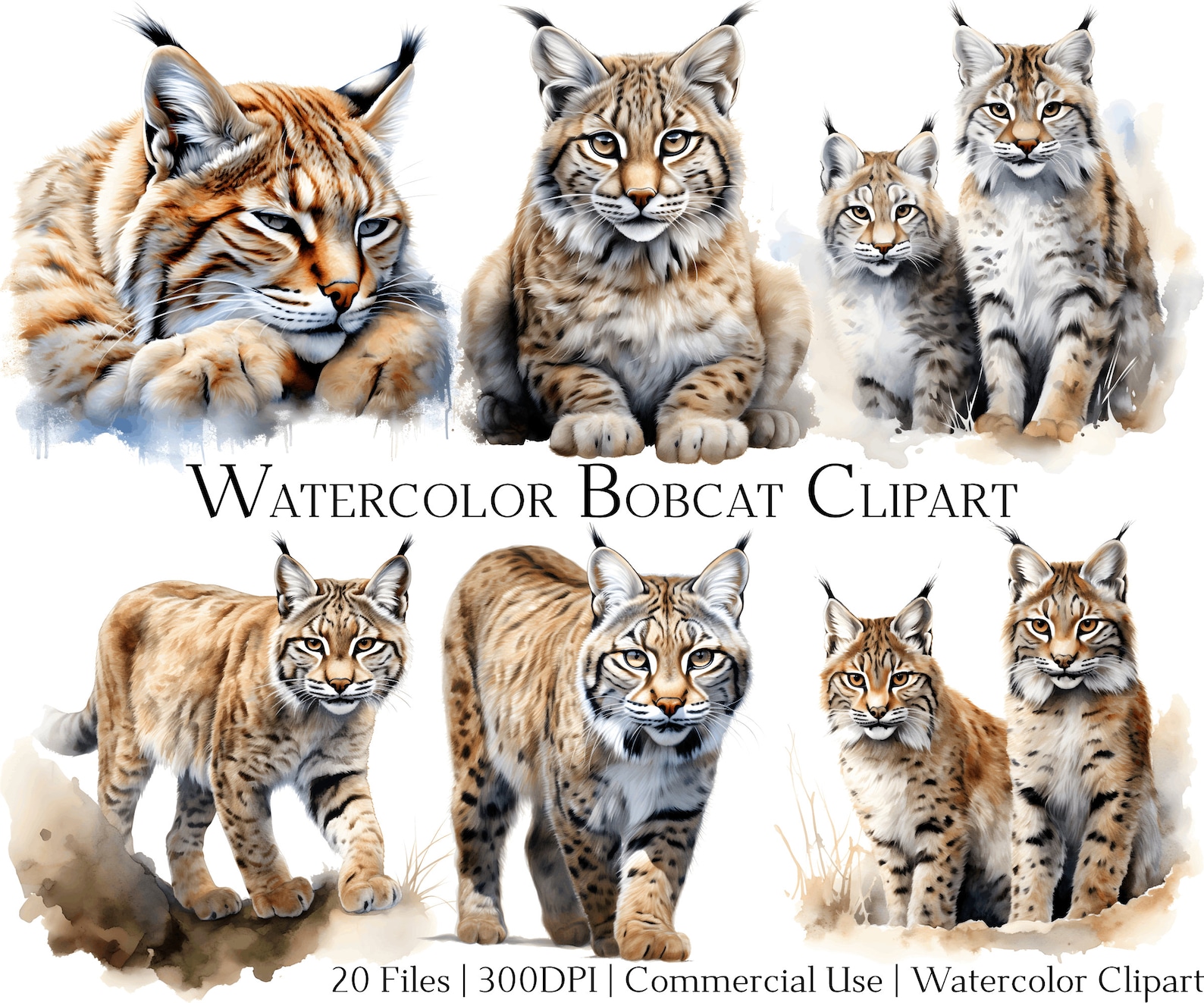 Watercolor Bobcat Clipart Set: 20 PNG + PDF Files (commercial Use) - Etsy