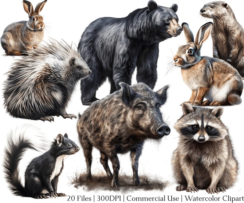 Watercolor Forest Animals Clipart Set of 20 Files With Instant Download ...