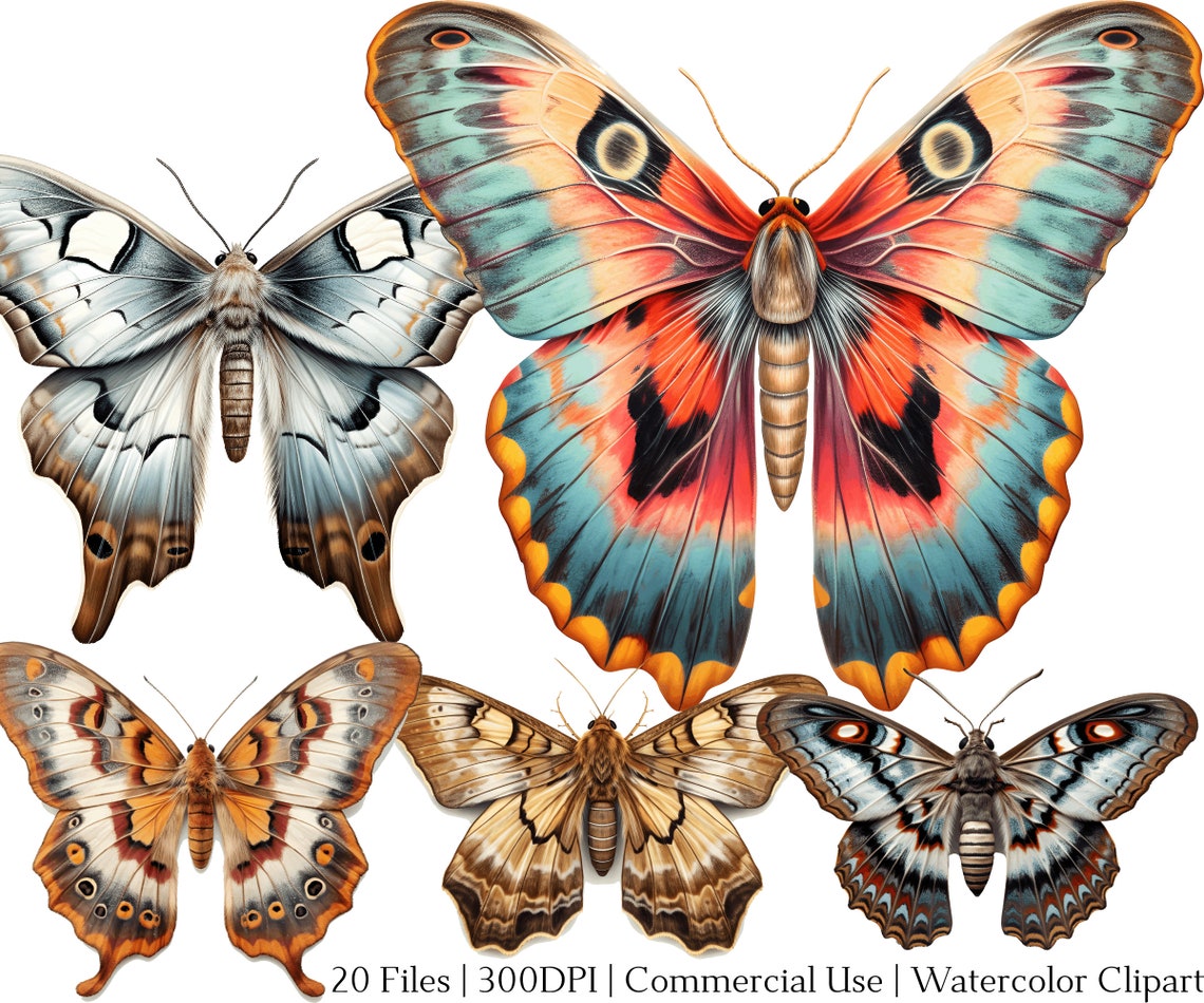 Watercolor Moth Clipart Set of 20 Files With Instant Download ...