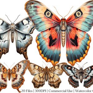 Watercolor Moth Clipart Set of 20 Files With Instant Download ...