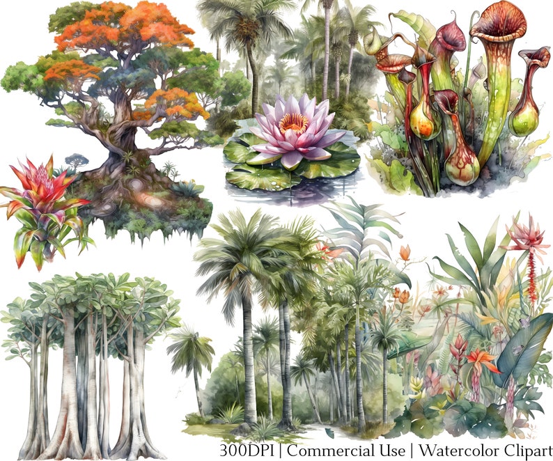 Watercolor Jungle Clipart Set: Tropical Rainforest Designs (PNG + PDF ...