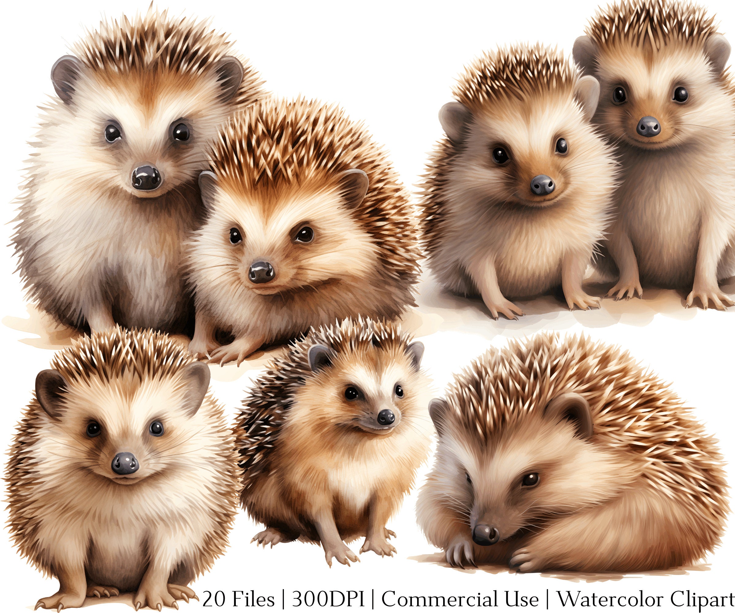 Watercolor Hedgehogs Clipart Set of 20 Files With Instant Download ...