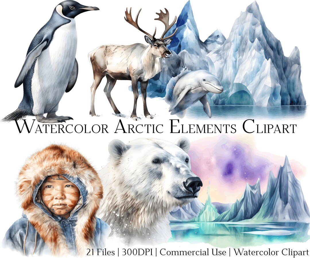 Watercolor Arctic Animals Clipart Set: Winter PNG + PDF (digital ...