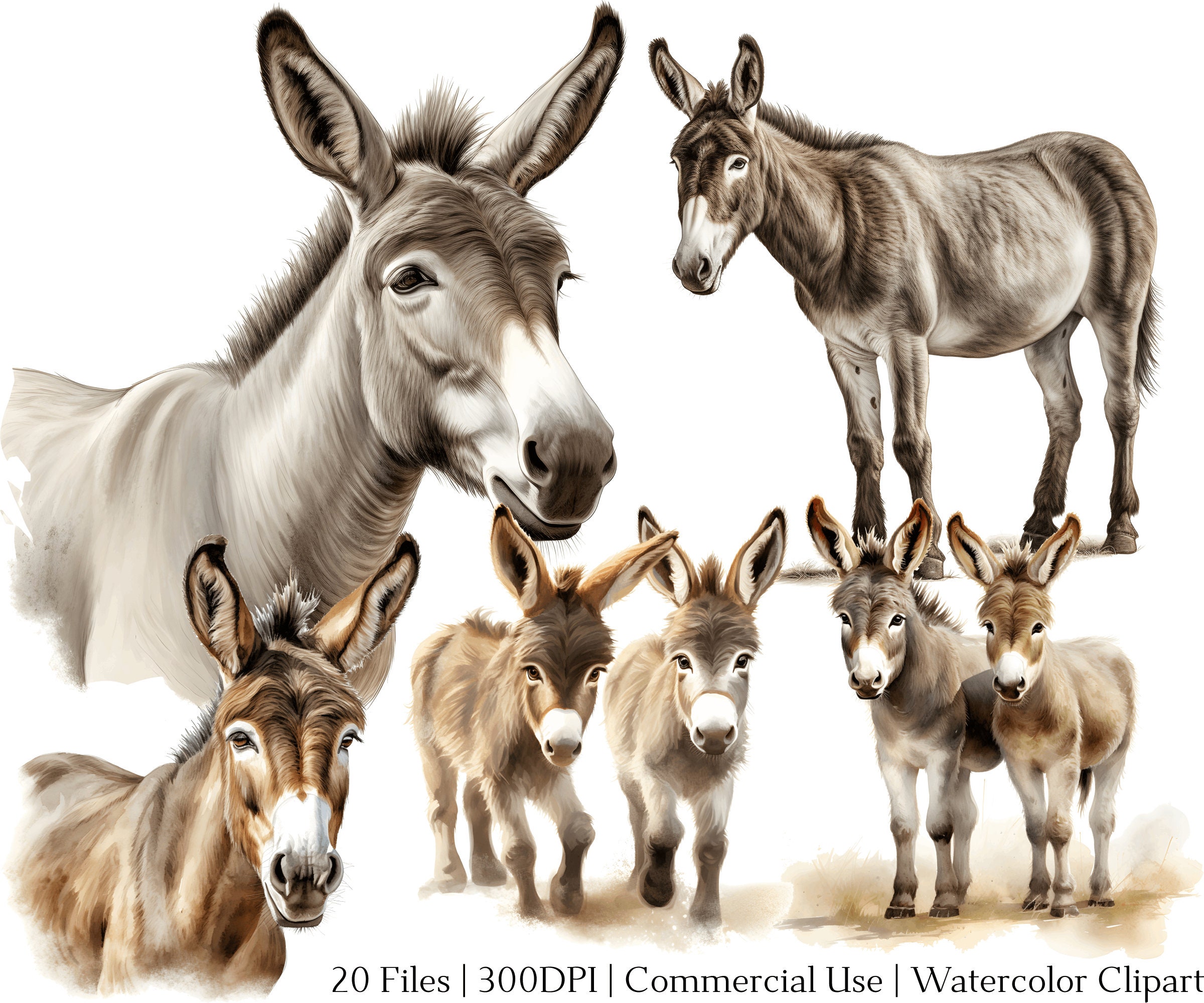 Watercolor Donkey Clipart Set: Farm Animal Art (PNG + PDF) - Etsy
