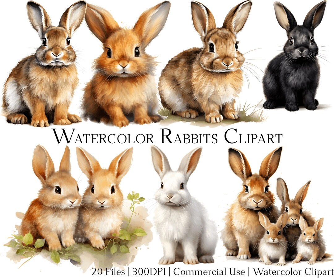 Watercolor Rabbits Clipart Set of 20 Files With Instant Download ...