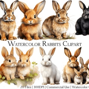 Watercolor Rabbits Clipart Set of 20 Files With Instant Download ...