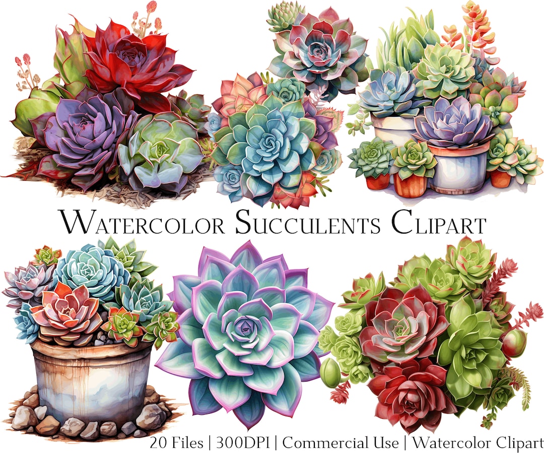 Watercolor Succulents Clipart Set of 20 Files With Instant Download ...