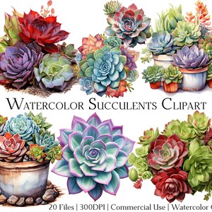 Watercolor Succulents Clipart Set of 20 Files With Instant Download ...