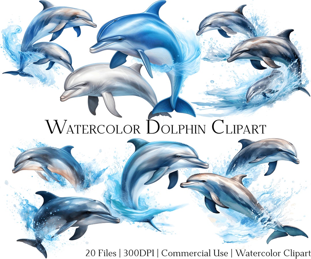 Watercolor Dolphin Clipart Set of 20 Files With Instant Download ...