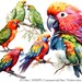 Watercolor Parrots Clipart Set of 20 Files With Instant - Etsy