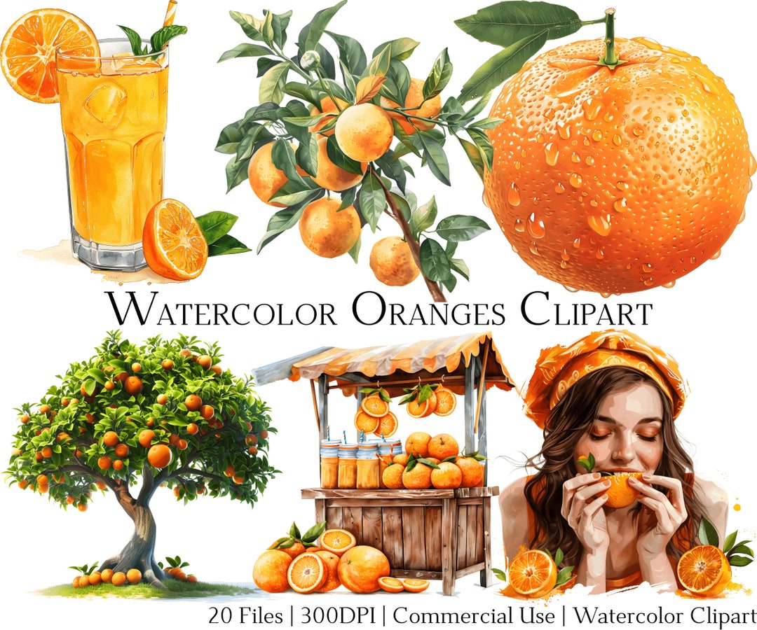 Watercolor Oranges Clipart Set of 20 Files With Instant Download ...
