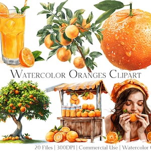 Watercolor Oranges Clipart Set of 20 Files With Instant Download ...