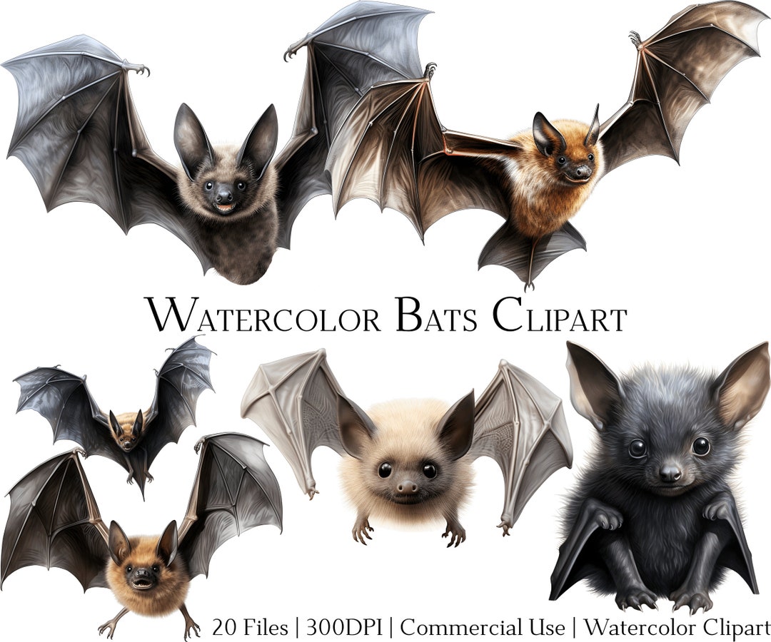 Watercolor Bat Clipart Set of 20 Files With Instant Download ...