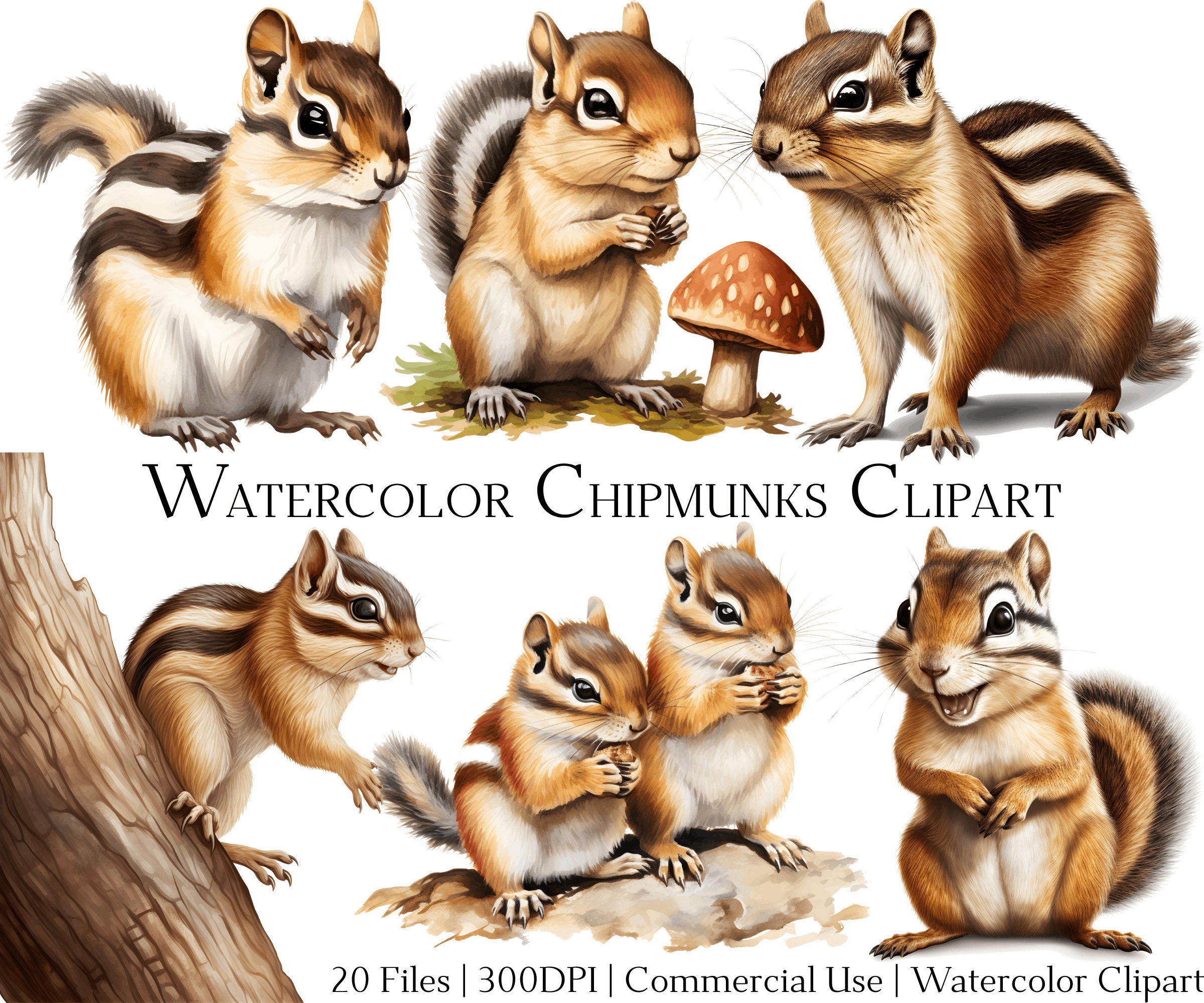 Watercolor Chipmunks Clipart Set of 20 Files With Instant Download ...