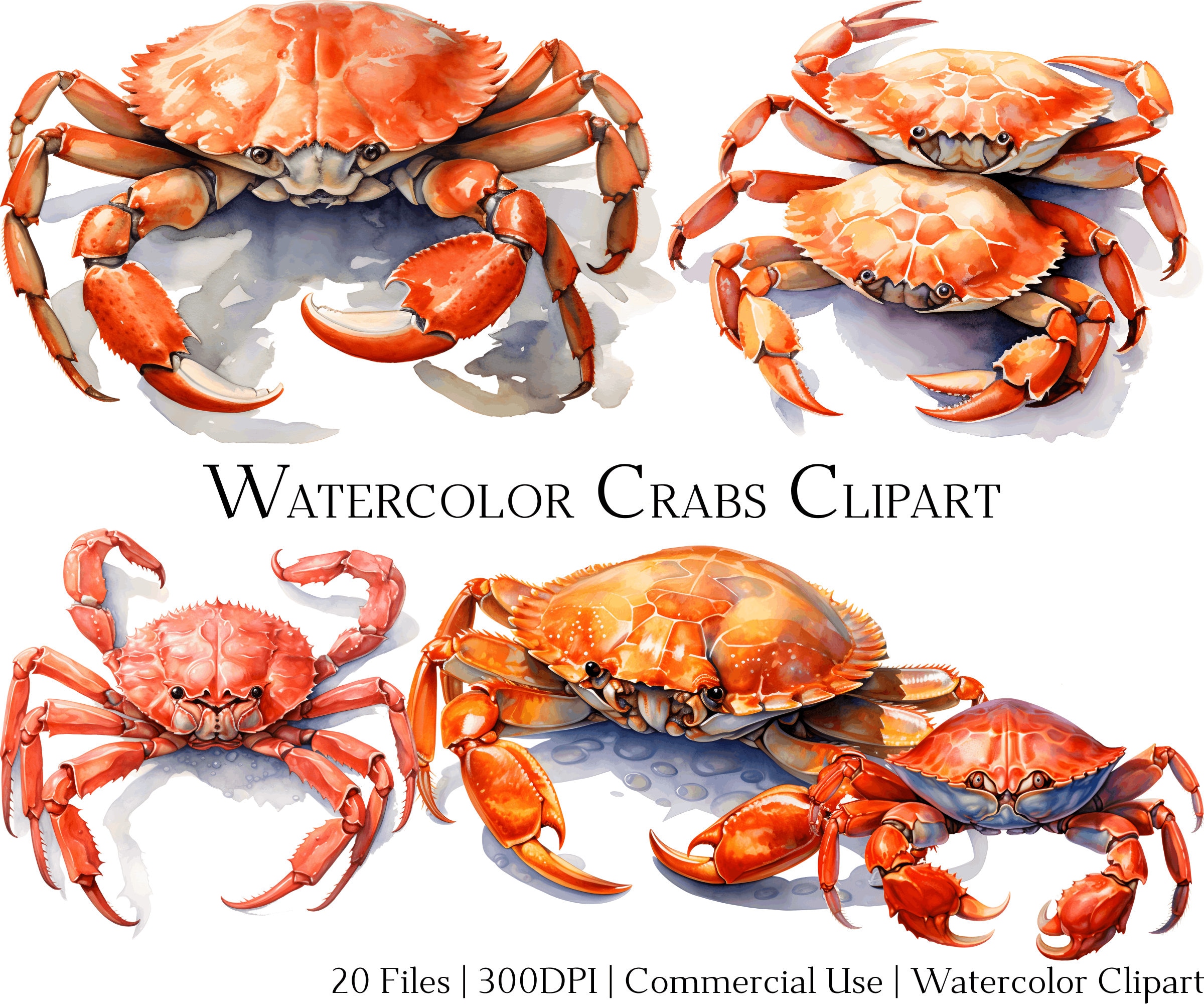 Watercolor Crabs Clipart Set of 20 Files With Instant Download ...
