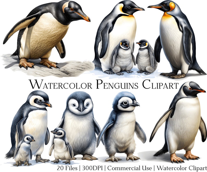 Watercolor Penguin Clipart Set: 20 PNG & PDF Files (commercial Use ...