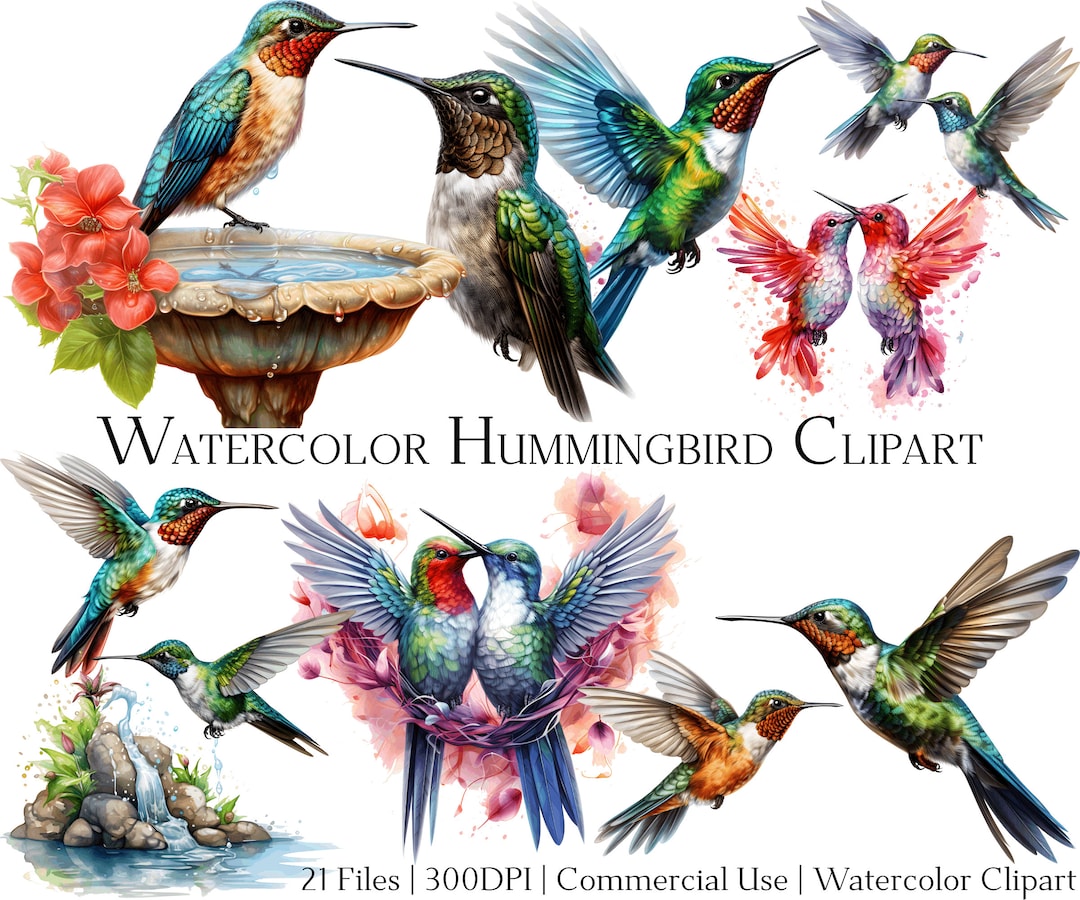 Watercolor Hummingbird Clipart Set: 21 PNG & PDF Files (commercial Use ...