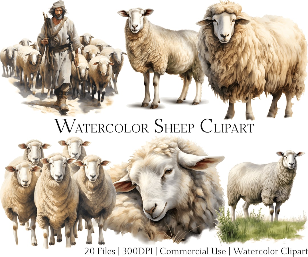 Watercolor Sheep Clipart Set of 20 Files With Instant Download ...
