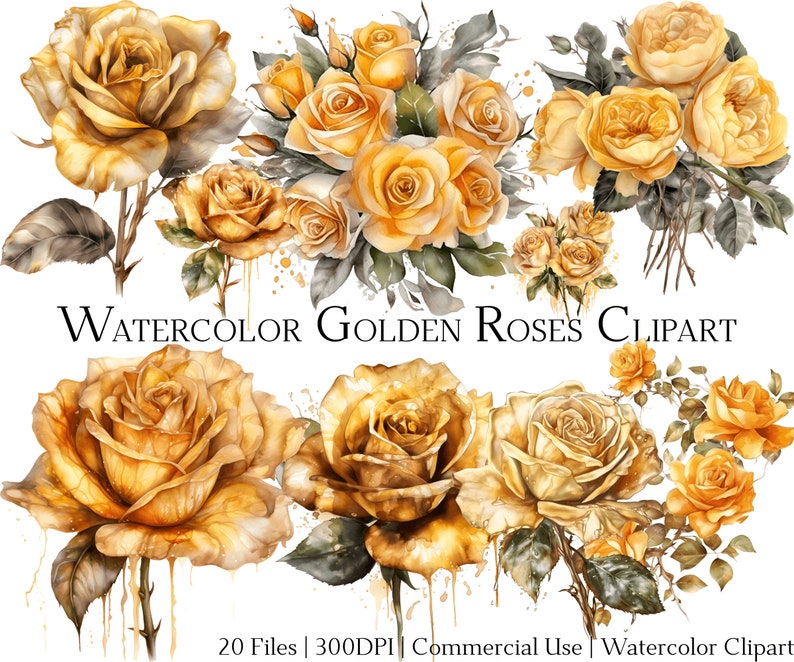 Watercolor Golden Roses Clipart Set of 20 Files With Instant Download ...