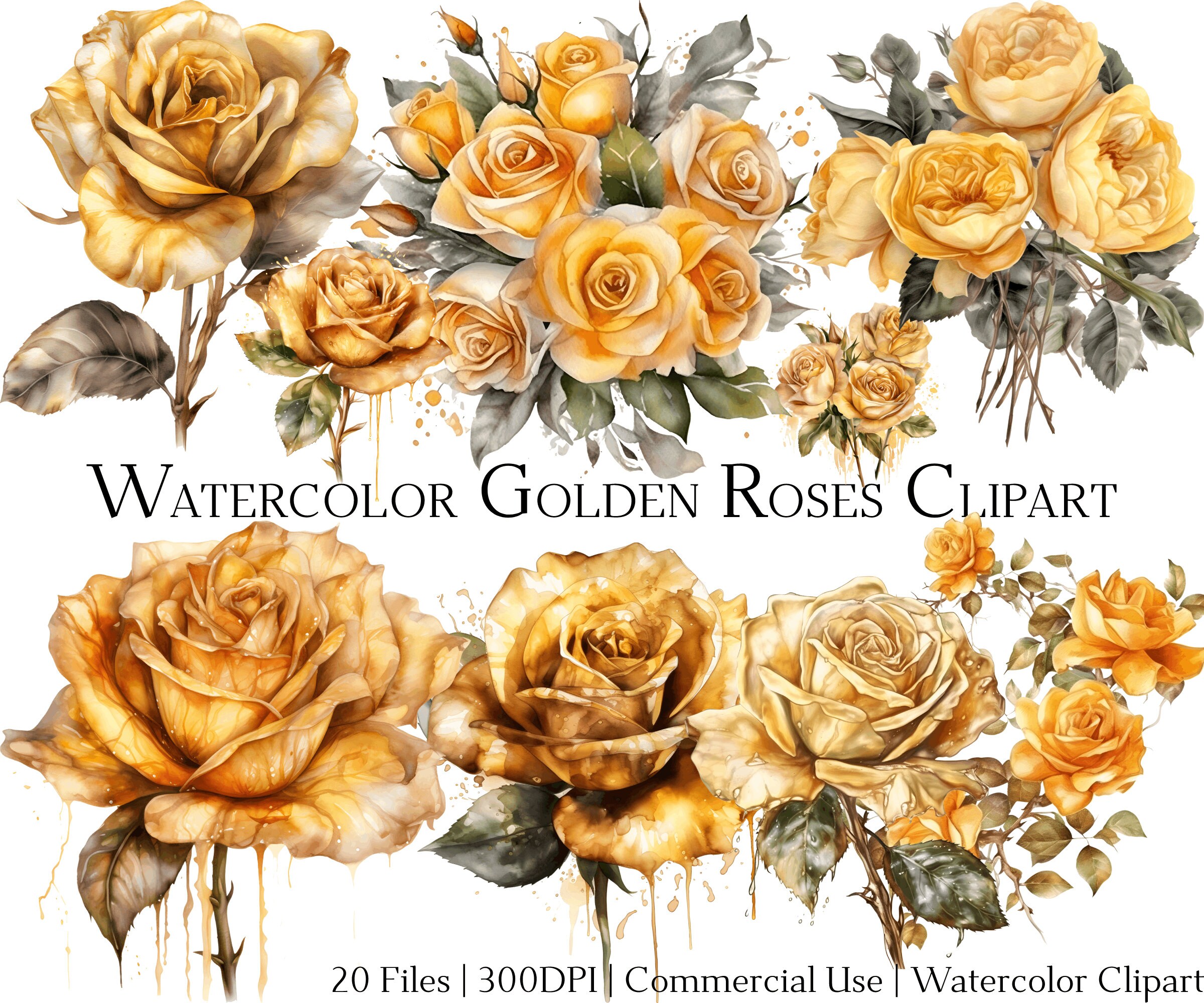 Watercolor Golden Roses Clipart Set of 20 Files With Instant Download ...