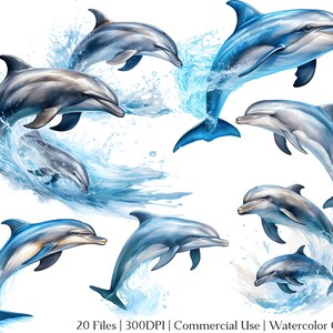 Watercolor Dolphin Clipart Set of 20 Files With Instant Download ...