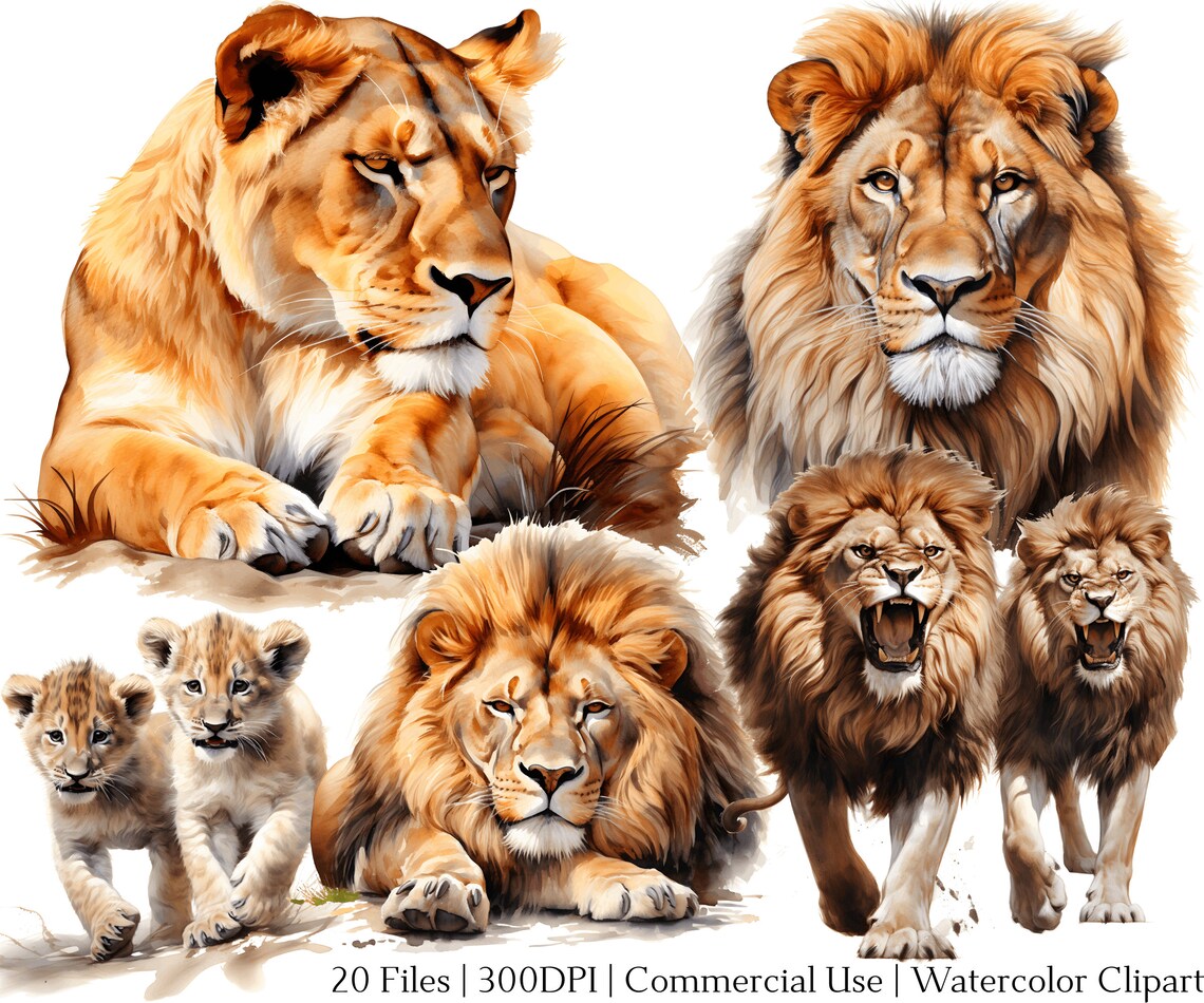 Watercolor Lions Clipart Set of 20 Files With Instant Download - Etsy