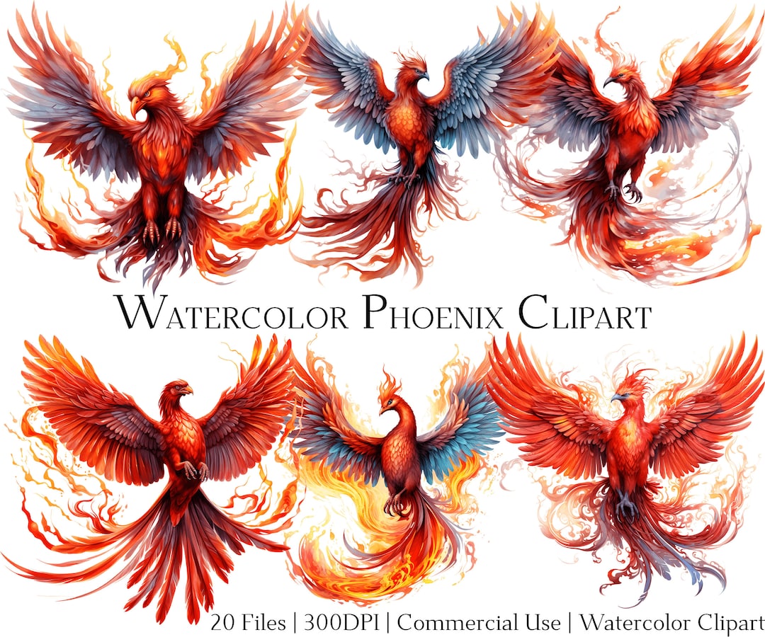 Watercolor Phoenix Clipart: Mythical Bird Graphics (PNG + PDF) - Etsy