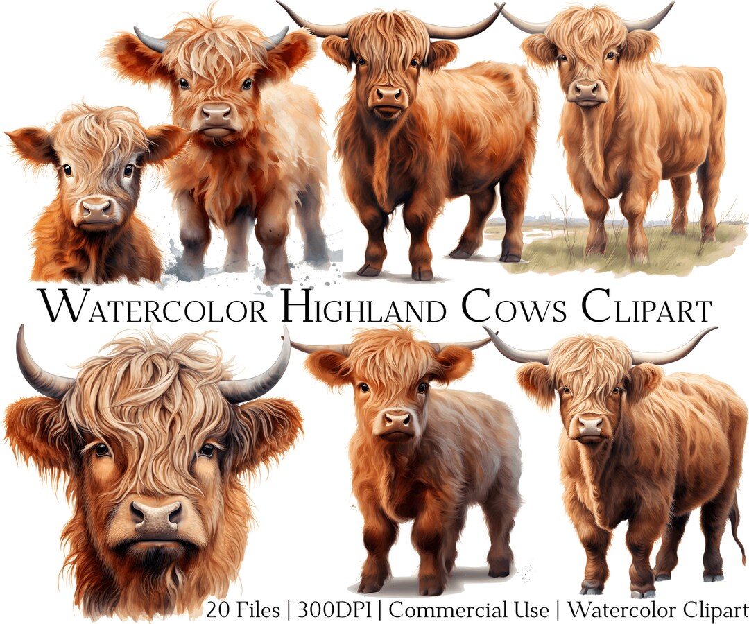 Watercolor Highland Cow Clipart Set: Farm Animal Graphics (PNG + PDF ...