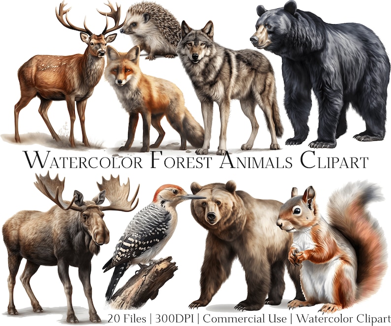 Watercolor Forest Animals Clipart Set of 20 Files With Instant Download ...