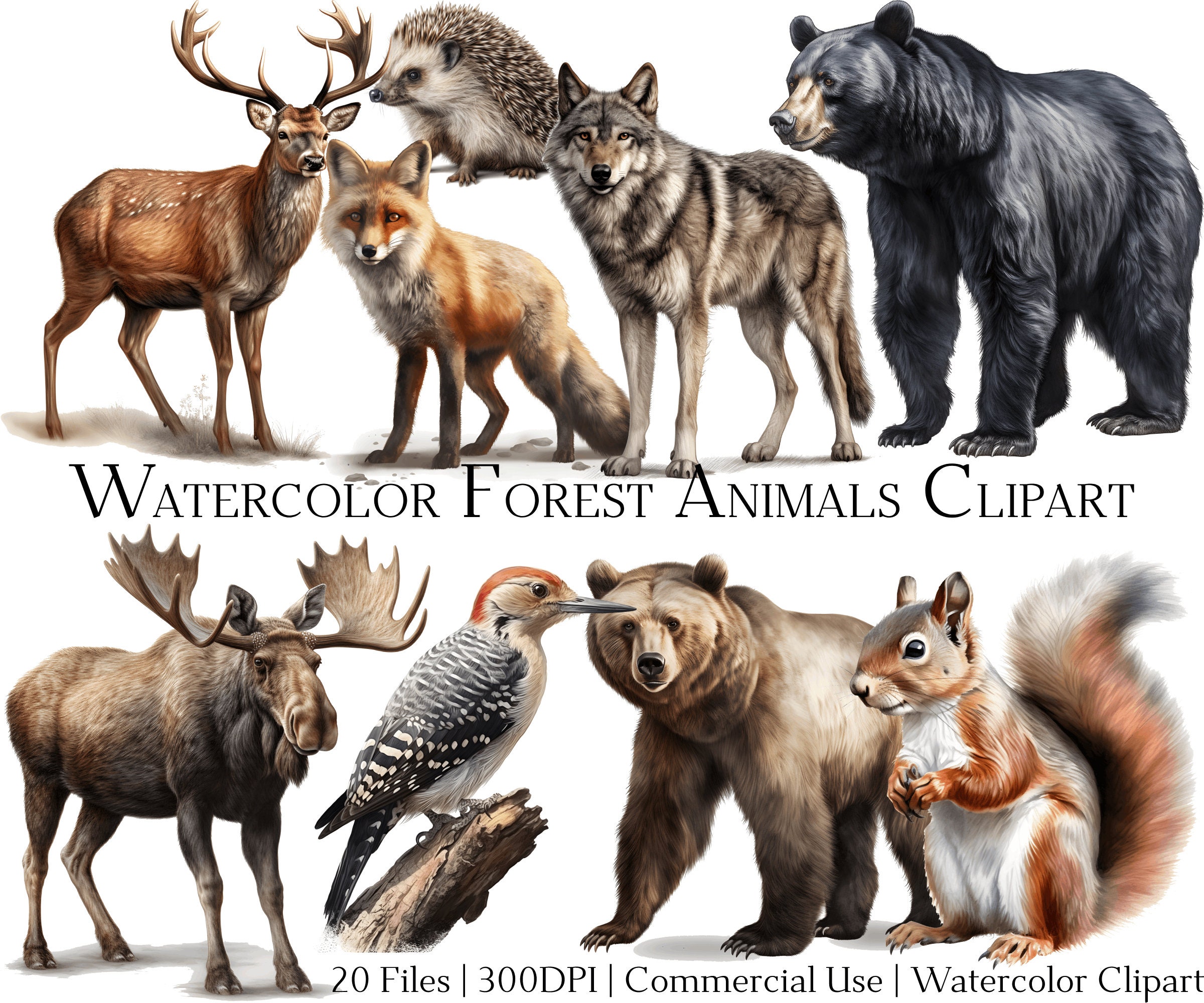 Watercolor Forest Animals Clipart Set of 20 Files With Instant Download ...