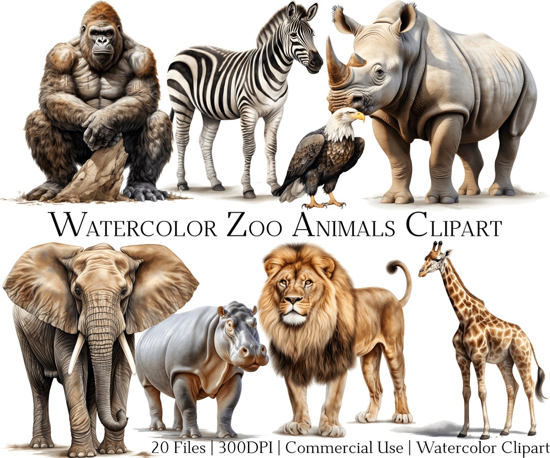 Watercolor Zoo Animals Clipart: 20 PNG & PDF Files (commercial Use) - Etsy