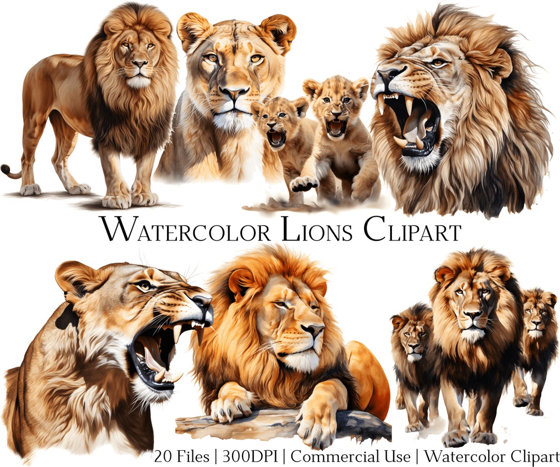 Watercolor Lions Clipart Set of 20 Files With Instant Download - Etsy