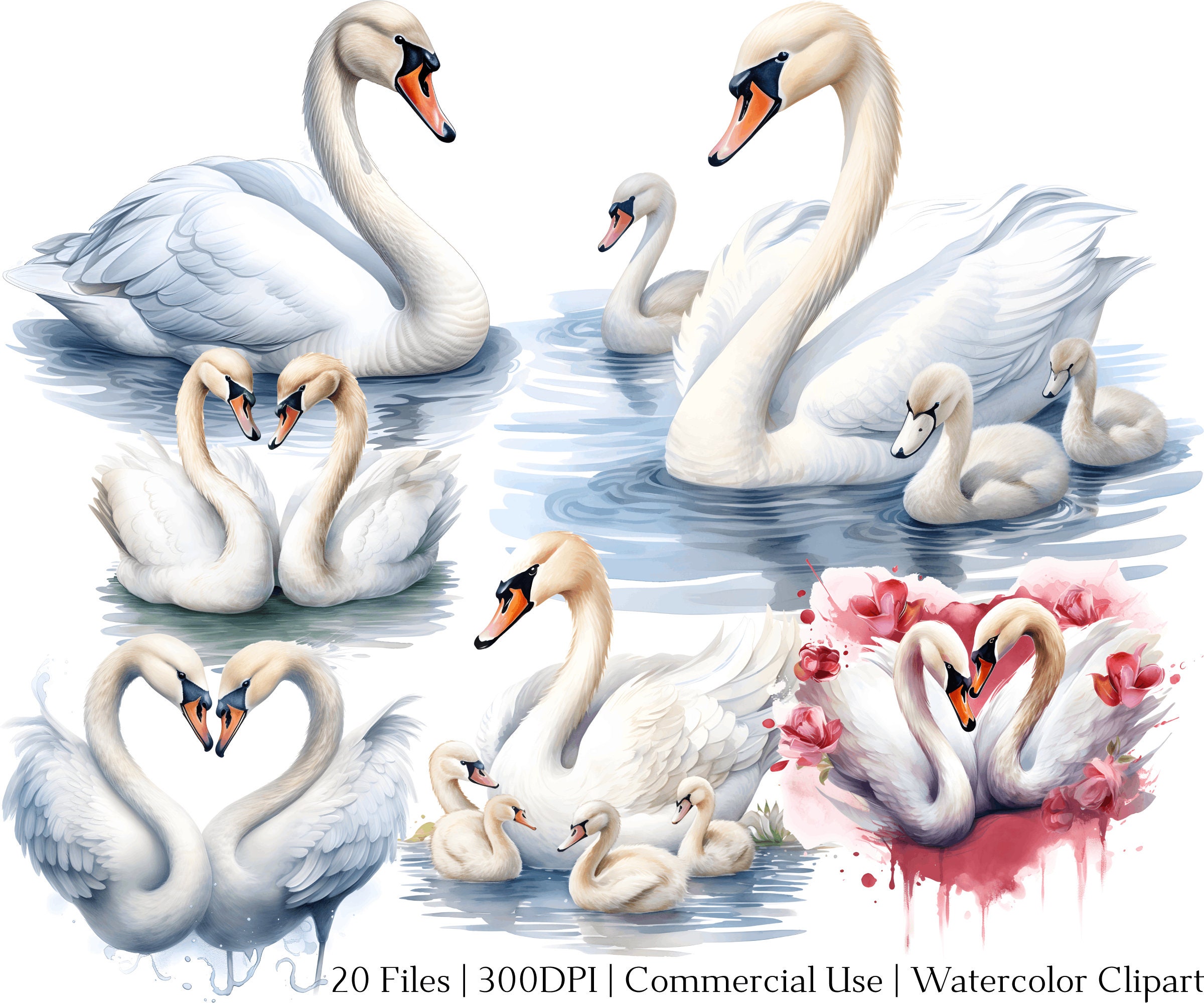 Watercolor Swans Clipart Set of 20 Files With Instant Download ...