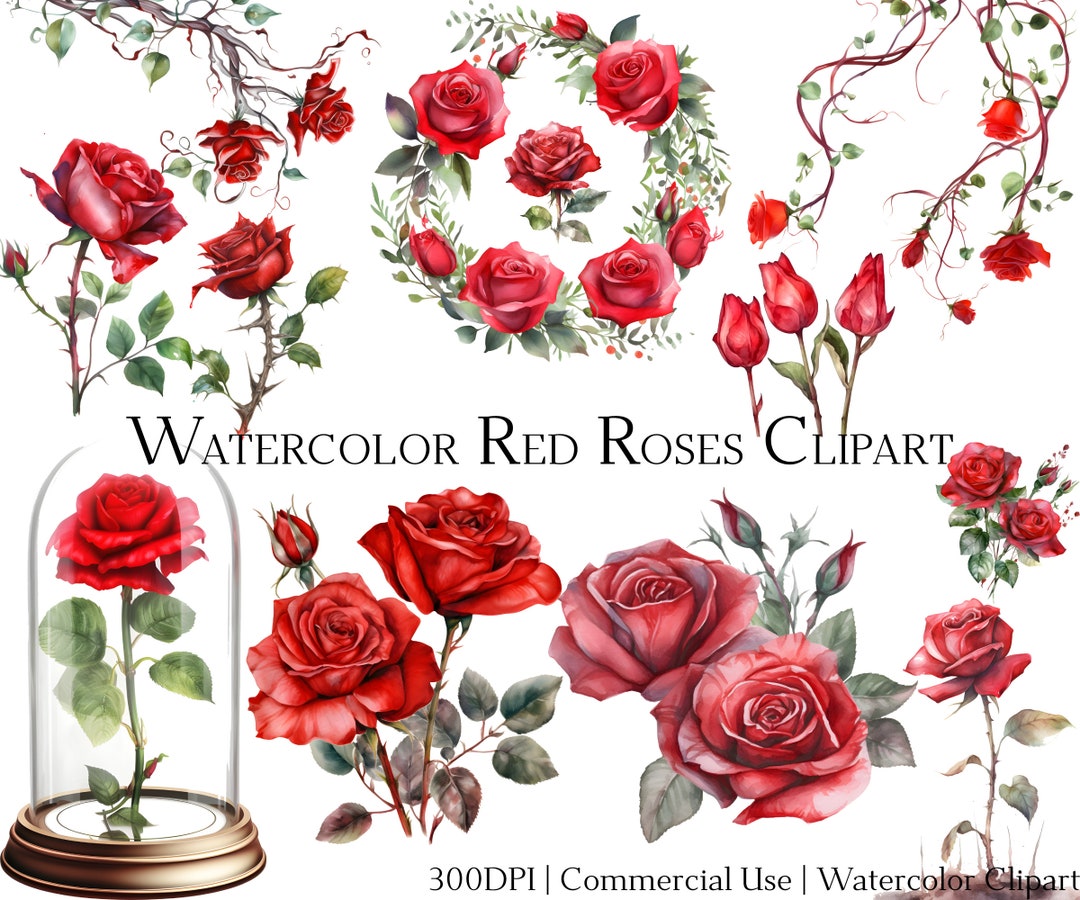 Watercolor Red Roses Clipart Set of 24 Files With Instant Download ...