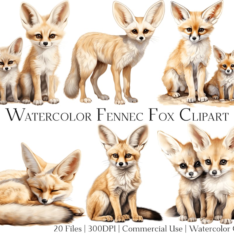 Fennec Fox - Etsy