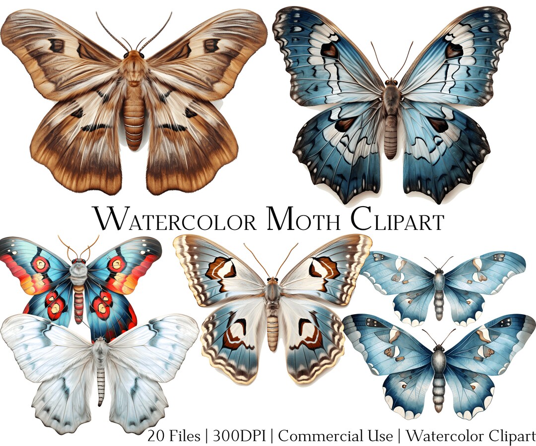 Watercolor Moth Clipart Set of 20 Files With Instant Download ...
