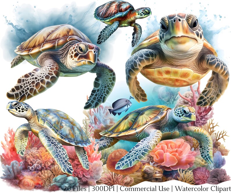 Watercolor Sea Turtle Clipart Set of 20 Files With Instant Download ...