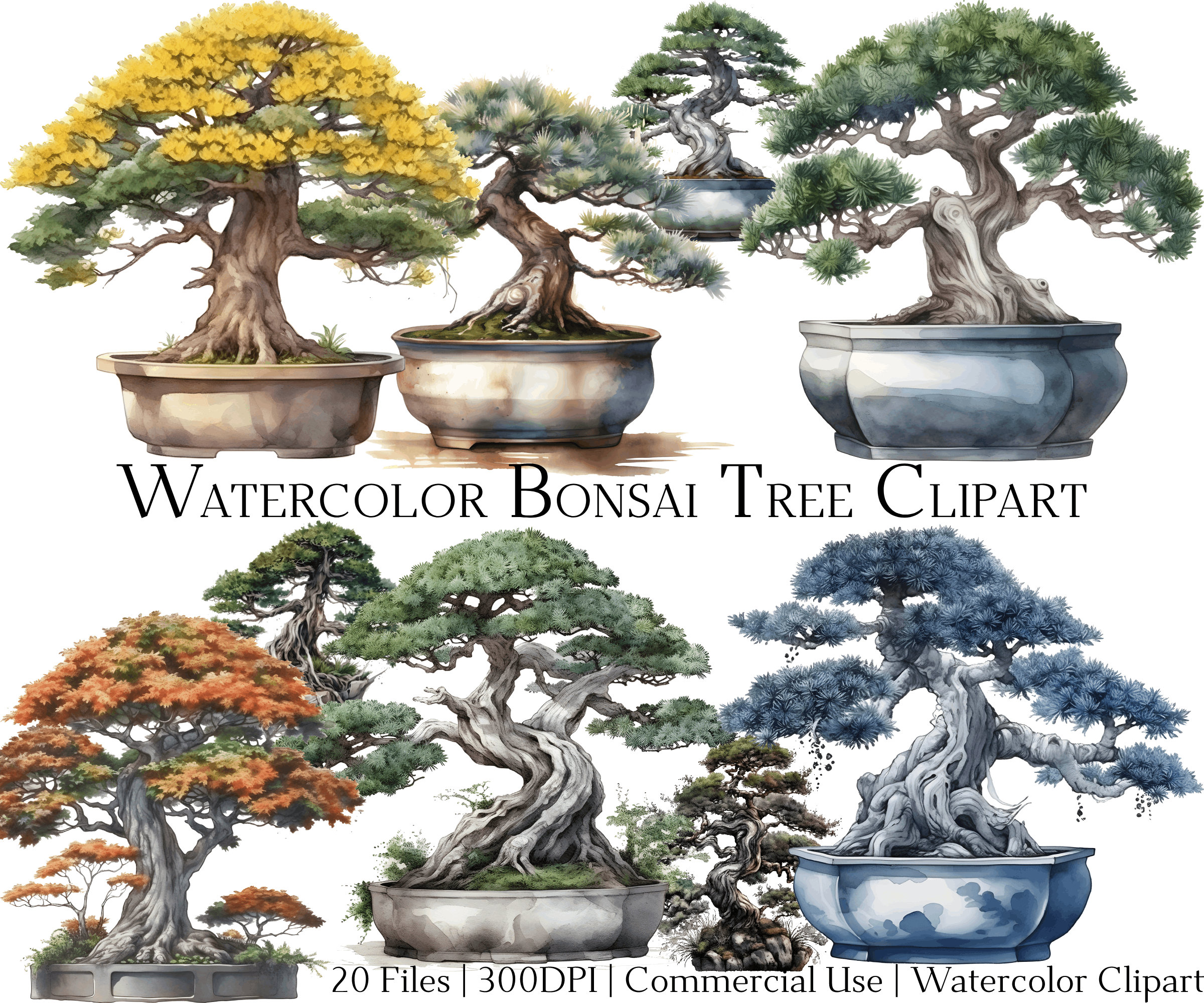 Bonsai Tree Clipart