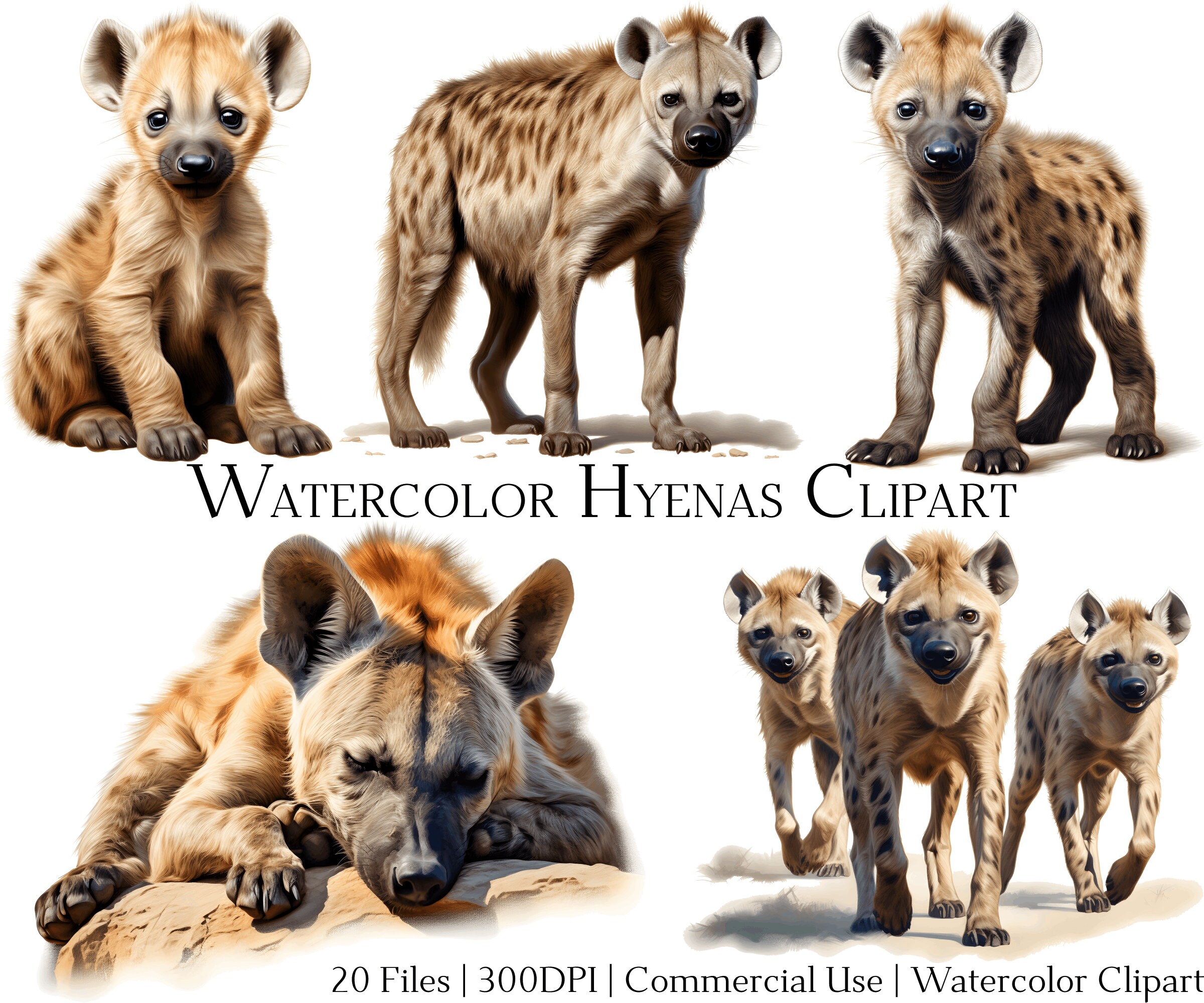 Watercolor Hyenas Clipart Set of 20 Files With Instant Download ...