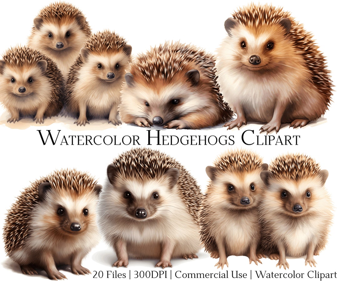 Watercolor Hedgehogs Clipart Set of 20 Files With Instant Download ...