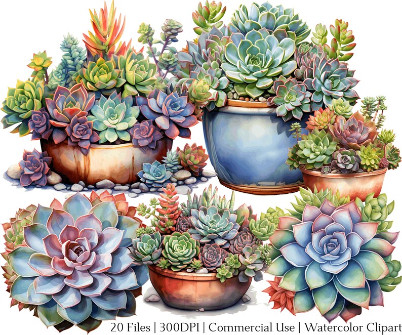 Watercolor Succulents Clipart Set of 20 Files With Instant - Etsy