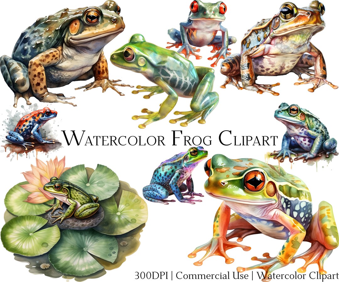 Watercolor Frog Clipart Set: Tropical Amphibian Art (PNG + PDF) - Etsy