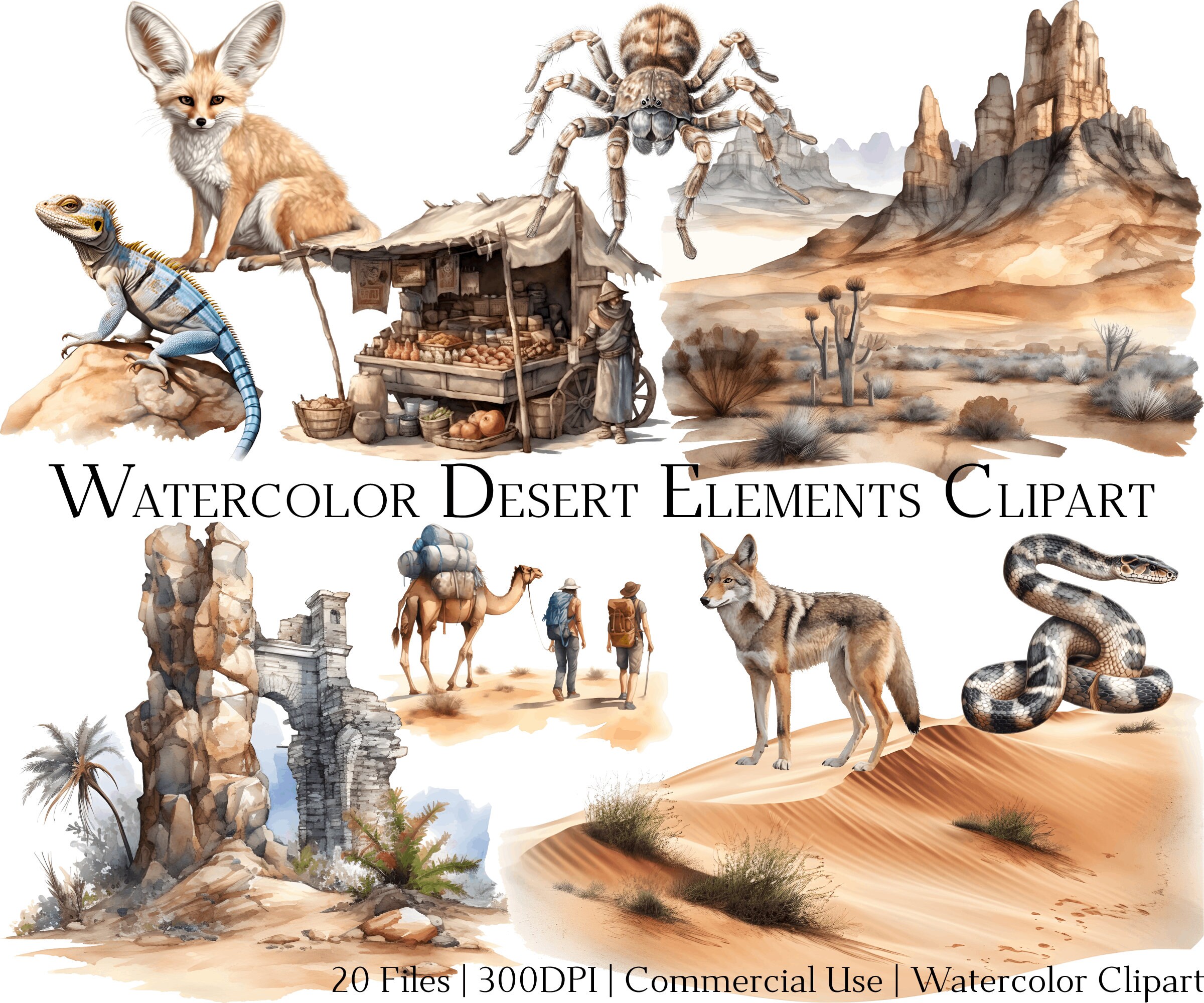 Watercolor Desert Elements Clipart Set of 20 Files With Instant ...