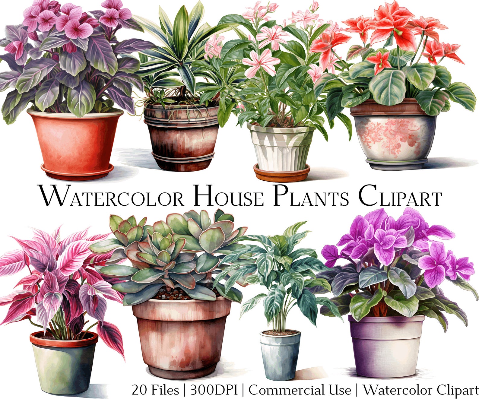 Watercolor House Plants Clipart: 20 PNG & PDF Files (commercial Use) - Etsy