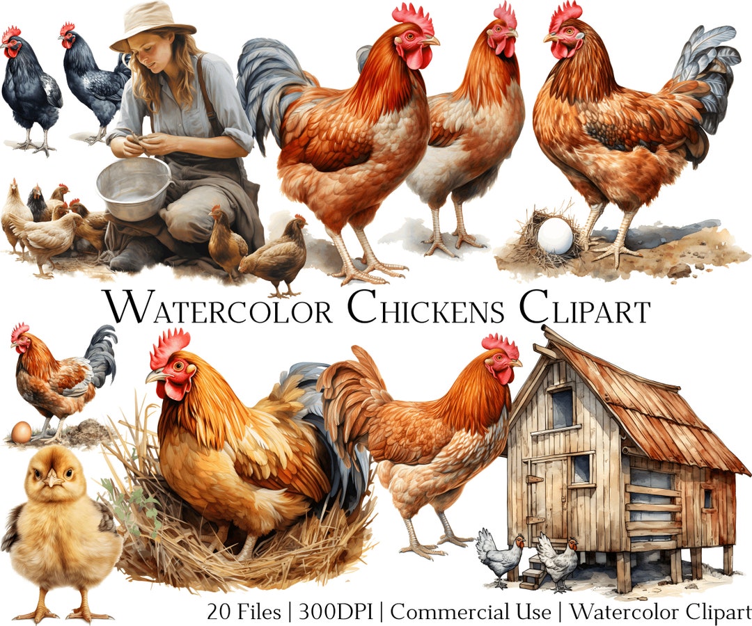 Watercolor Chickens Clipart Set of 20 Files With Instant Download ...