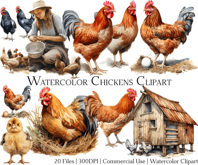 Watercolor Chickens Clipart Set of 20 Files With Instant Download ...
