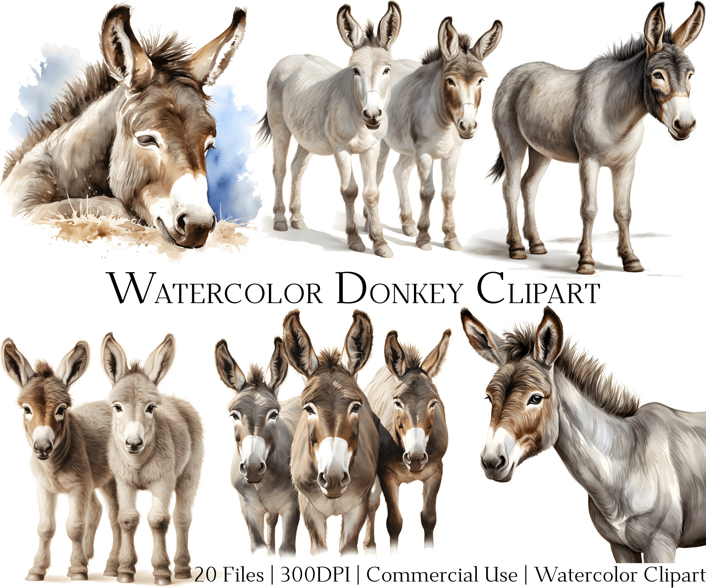 Watercolor Donkey Clipart Set: Farm Animal Art (PNG + PDF) - Etsy