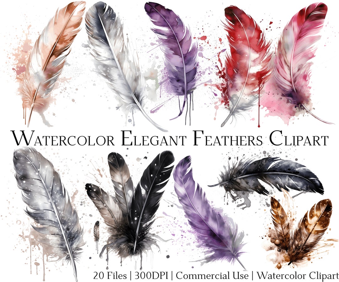 Watercolor Elegant Feathers Clipart Set of 20 Files With Instant ...